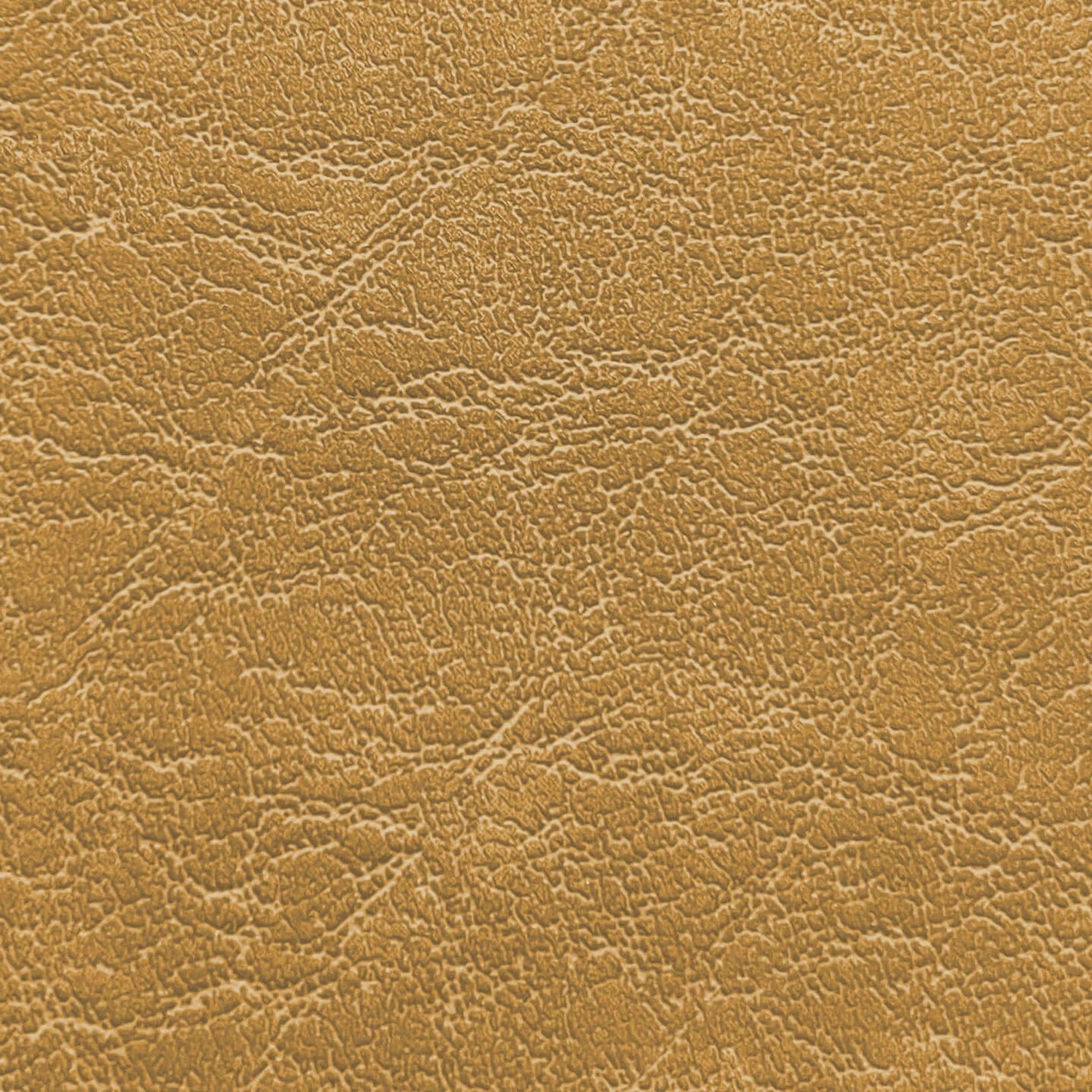 Morbern Vinyl Sample Book | Allante, Carrara, and Prodigy Collections